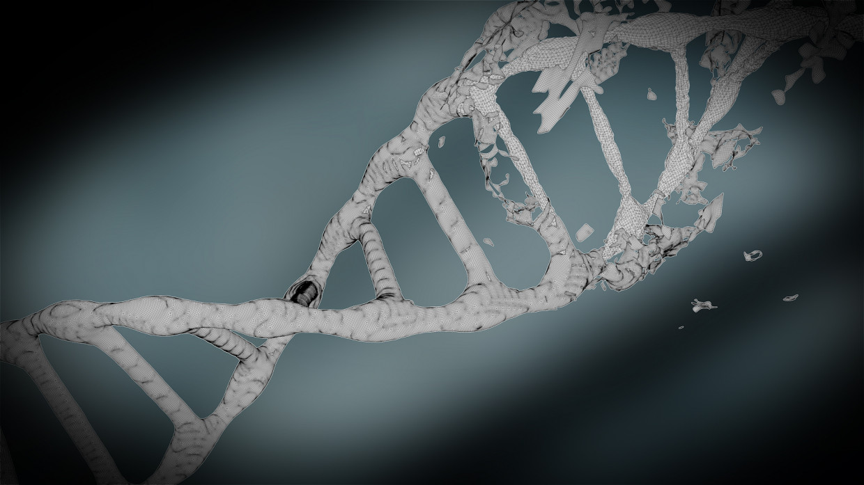 Visualisation 3D DNK | 3dlancer.net