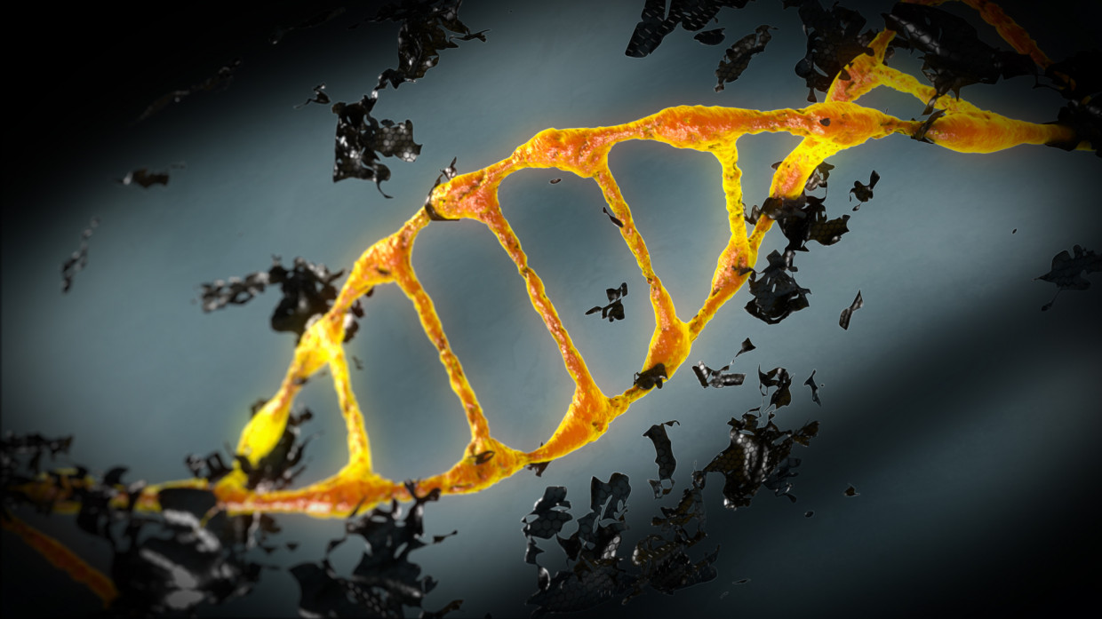 Visualisation 3D DNK | 3dlancer.net