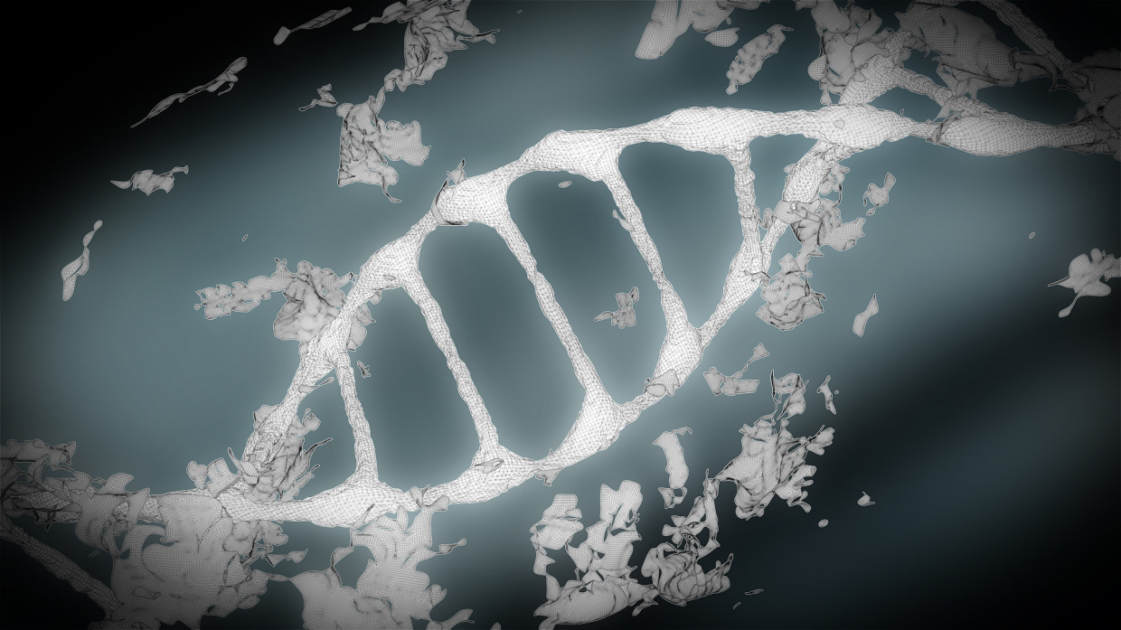 Visualisation 3D DNK | 3dlancer.net