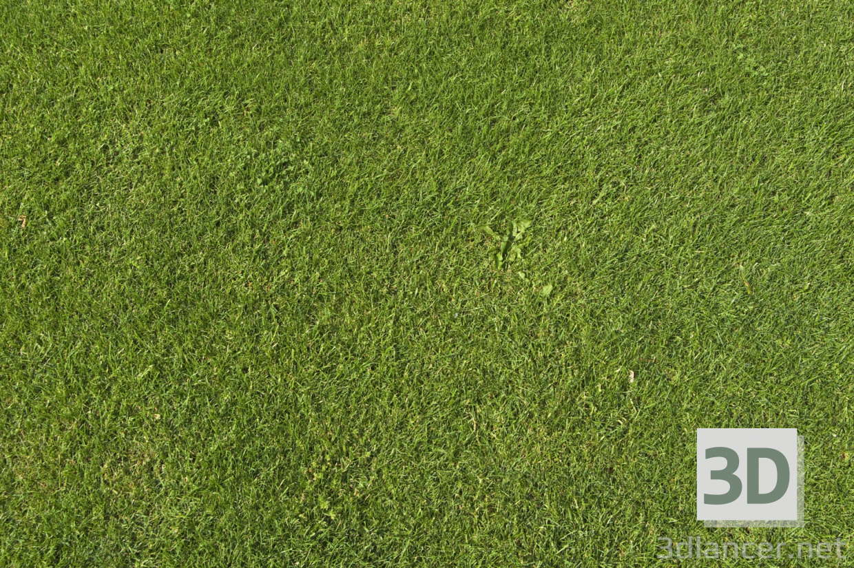 Download texture Grass textures for 3d max - number 37311 at 3dlancer.net