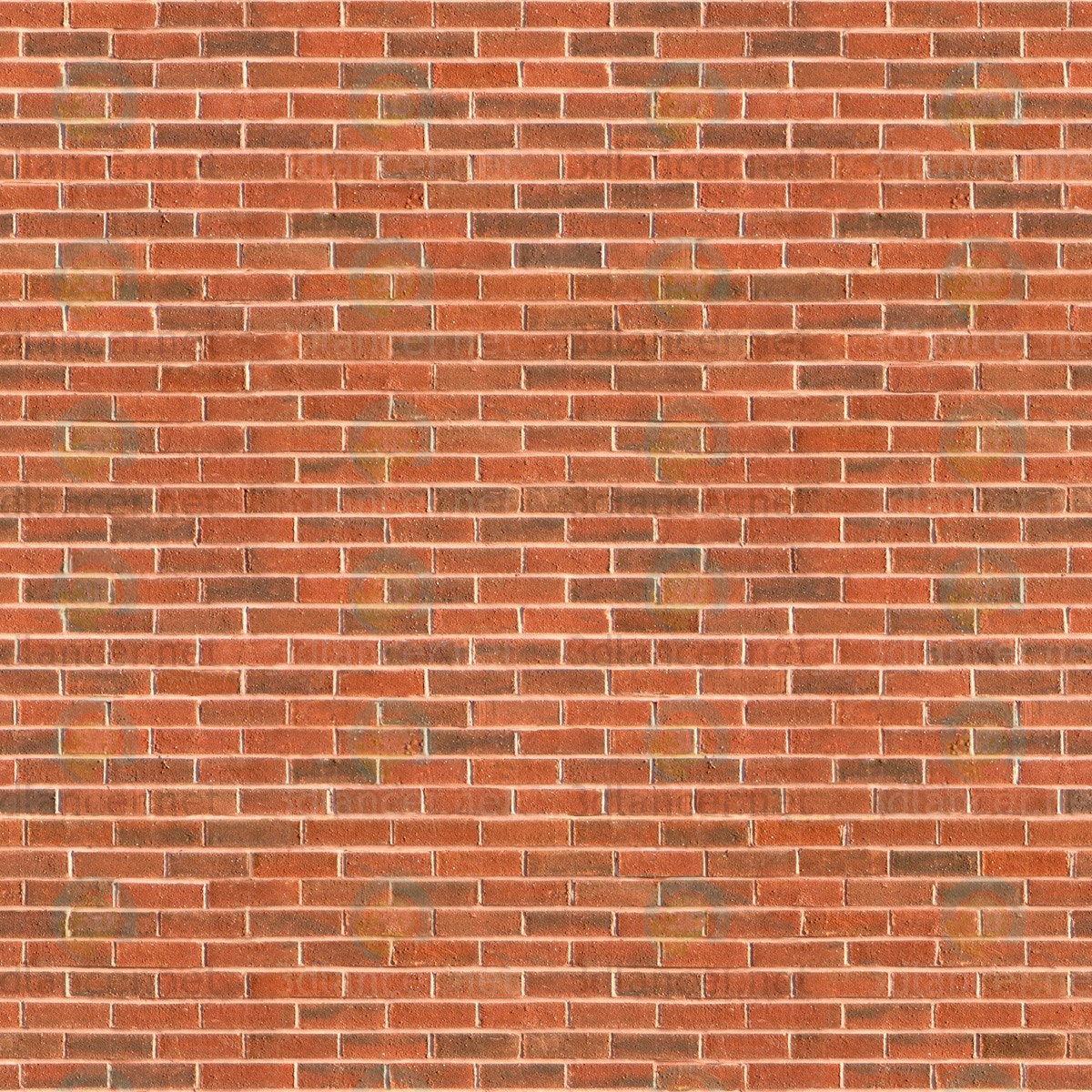 Télécharger la texture Briques pour 3d max - numéro 11553 à 3dlancer.net