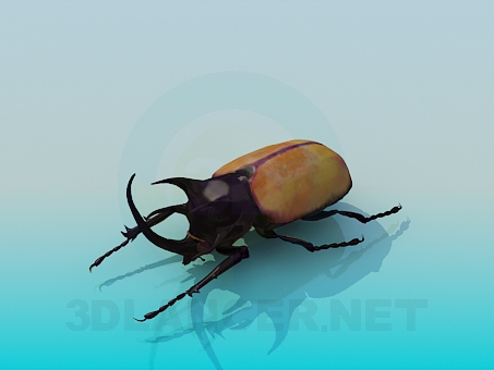 3d model Beetle | 8568 | 3dlancer.net
