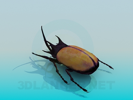 3d model Beetle | 8568 | 3dlancer.net