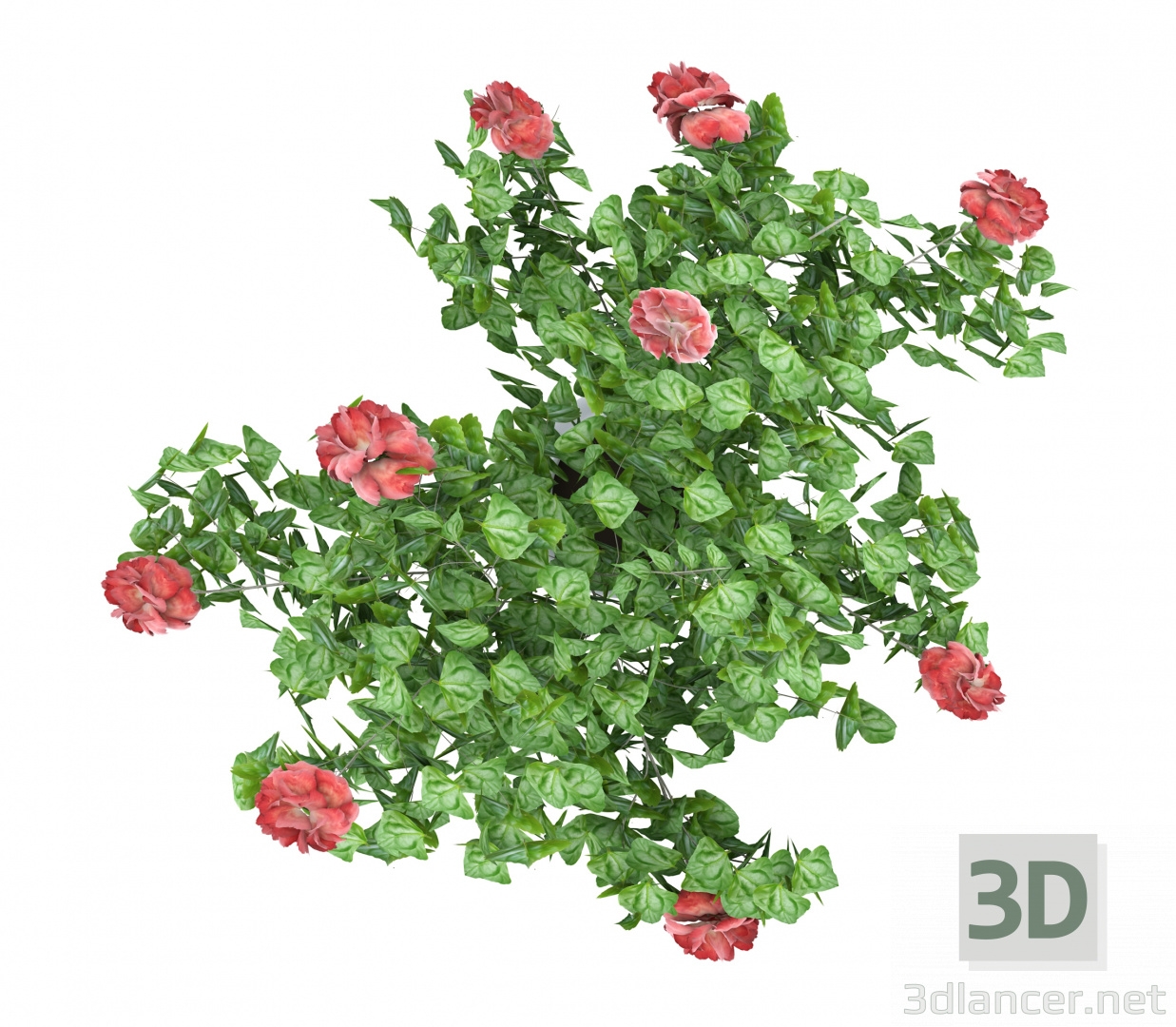 3d model Hibiscus | 19589 | 3dlancer.net