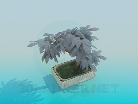 3d model Mini tree | 5593 | 3dlancer.net