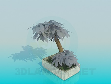 3d model Mini tree | 5593 | 3dlancer.net