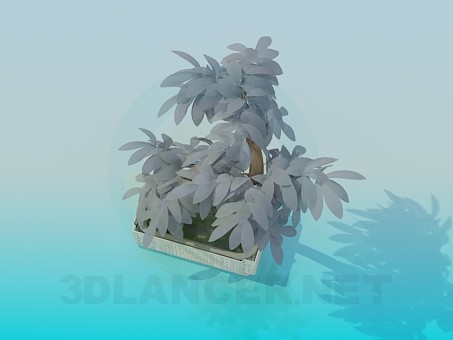 3d model Mini tree | 5593 | 3dlancer.net