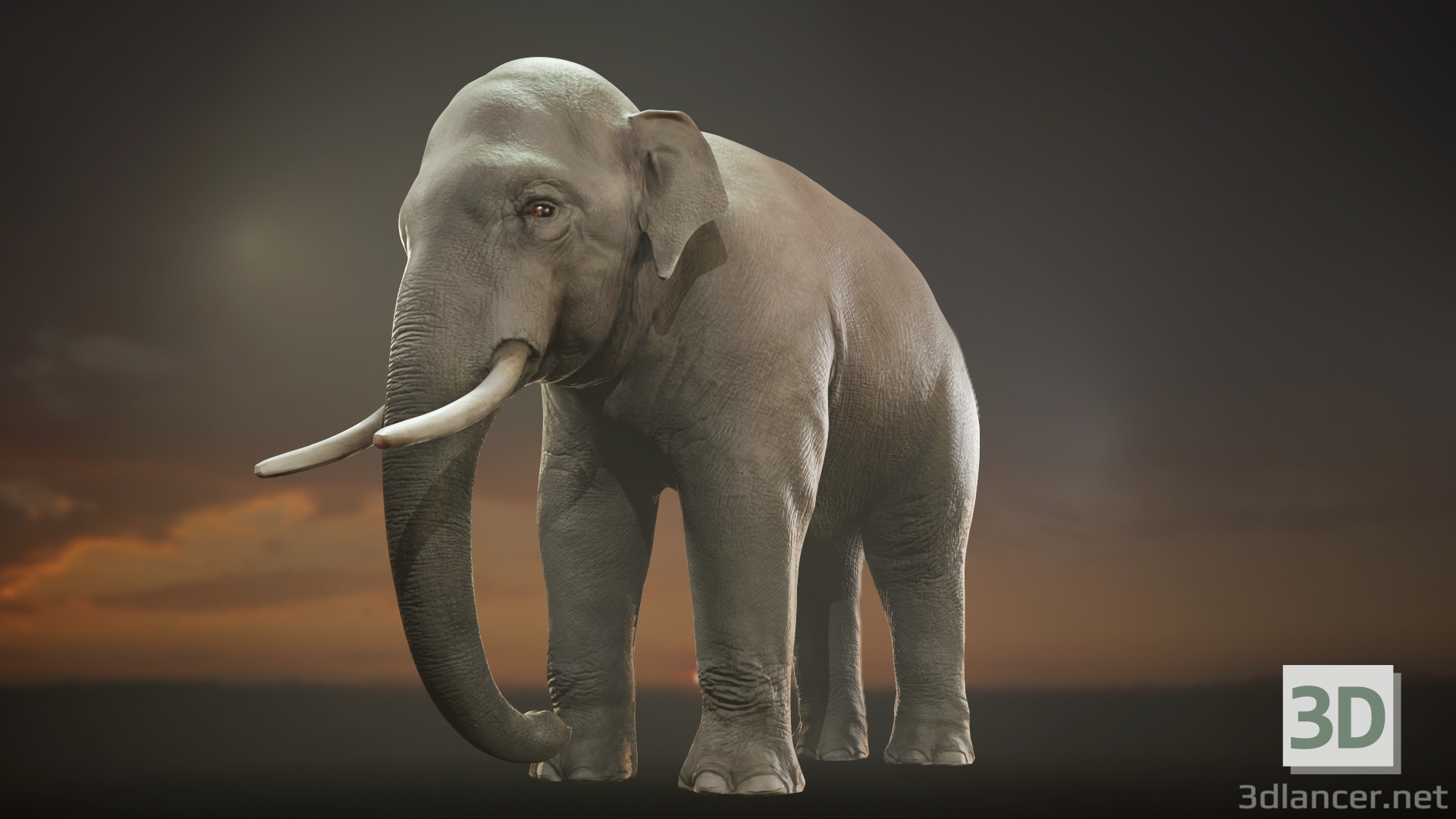 3d model Asian Elephant Rigged Low-poly 3D model | 35791 | 3dlancer.net