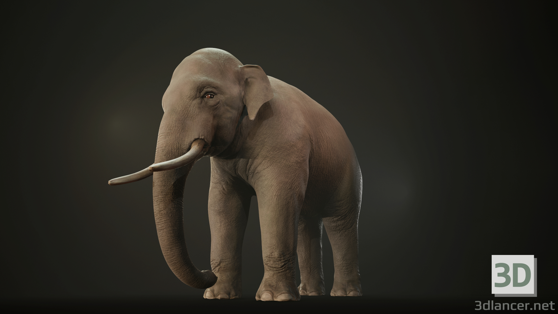3d model Asian Elephant Rigged Low-poly 3D model | 35791 | 3dlancer.net