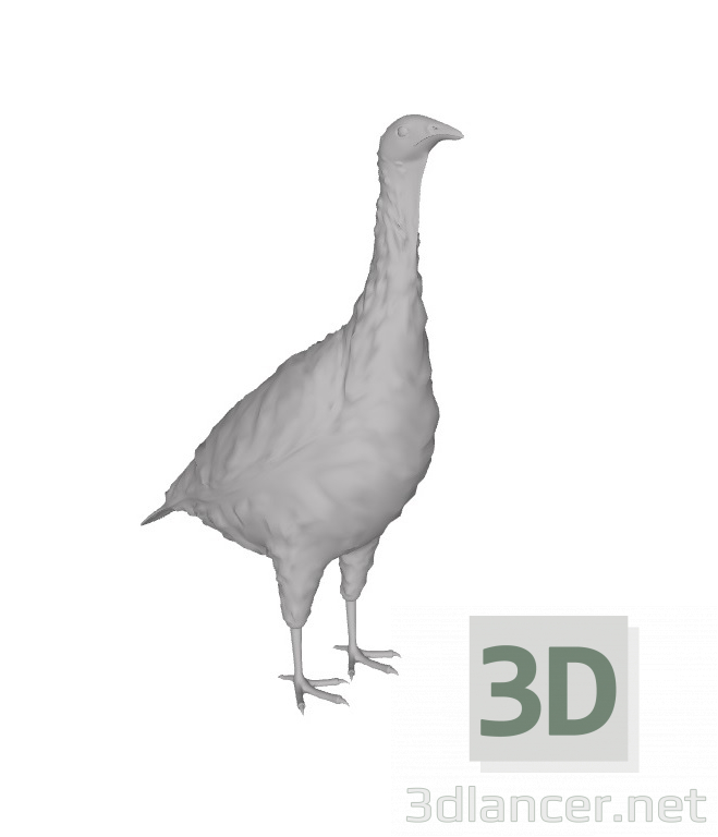 3d model domestic turkey | 74801 | 3dlancer.net