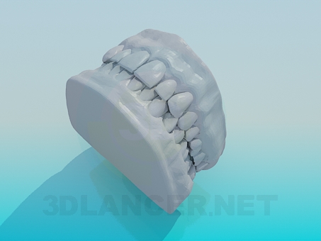 3d model Model of human teeth | 4850 | 3dlancer.net
