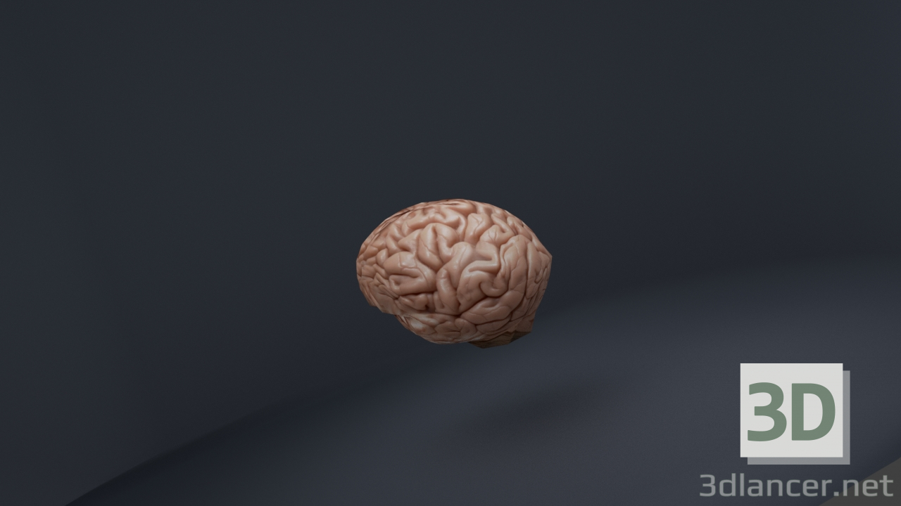 3d model Low-poly Brain | 28091 | 3dlancer.net