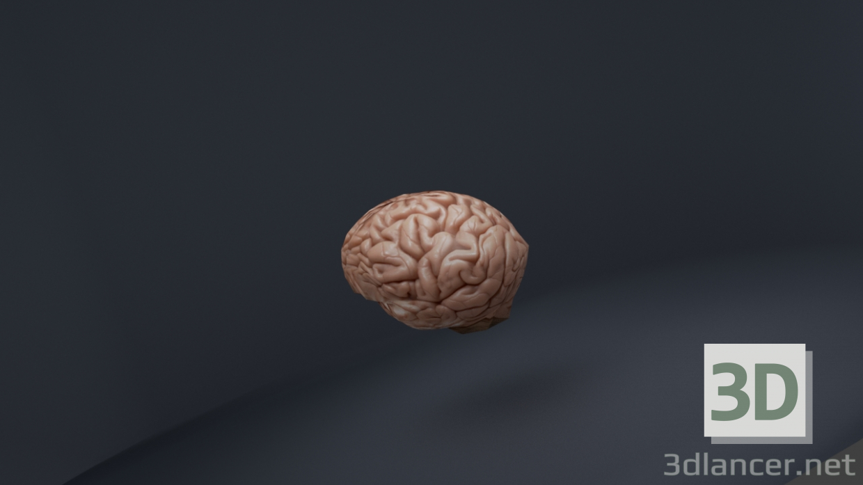 3d model Low-poly Brain | 28091 | 3dlancer.net